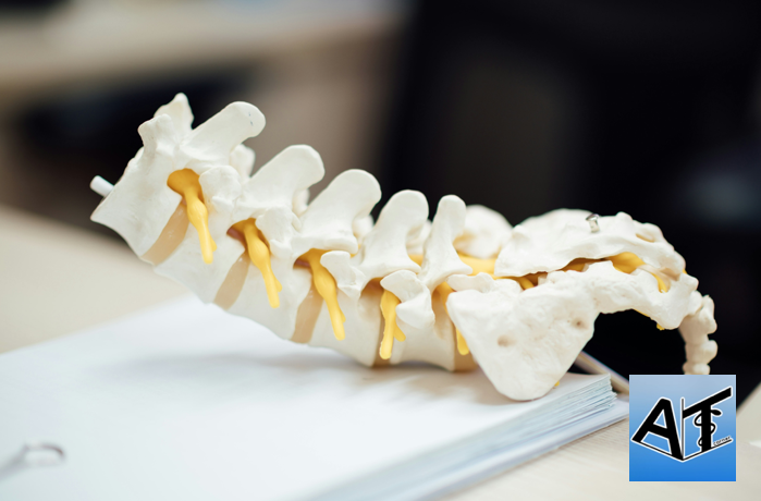 Low back pain – Clinically Pressed Co.